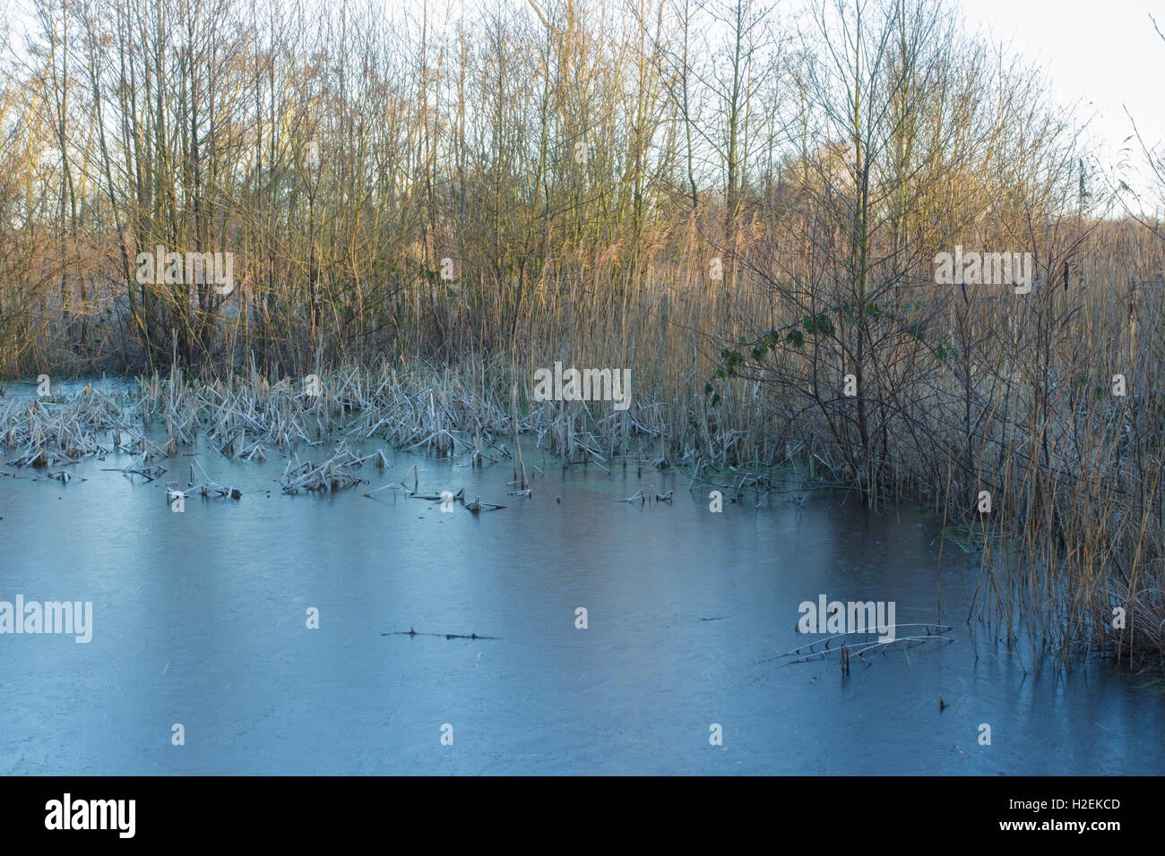 Fenland frost hi-res stock photography and images - Alamy