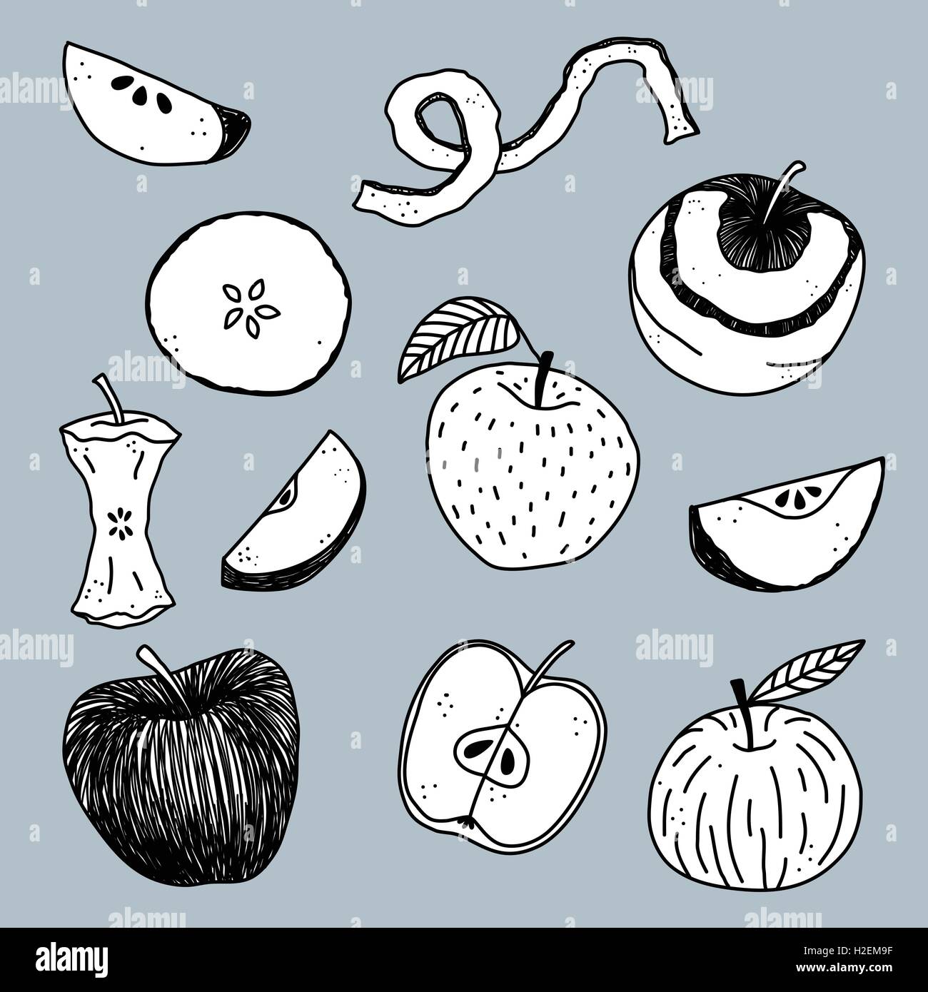 Apples hand drawn doodle vector illustration Stock Vector Image & Art ...