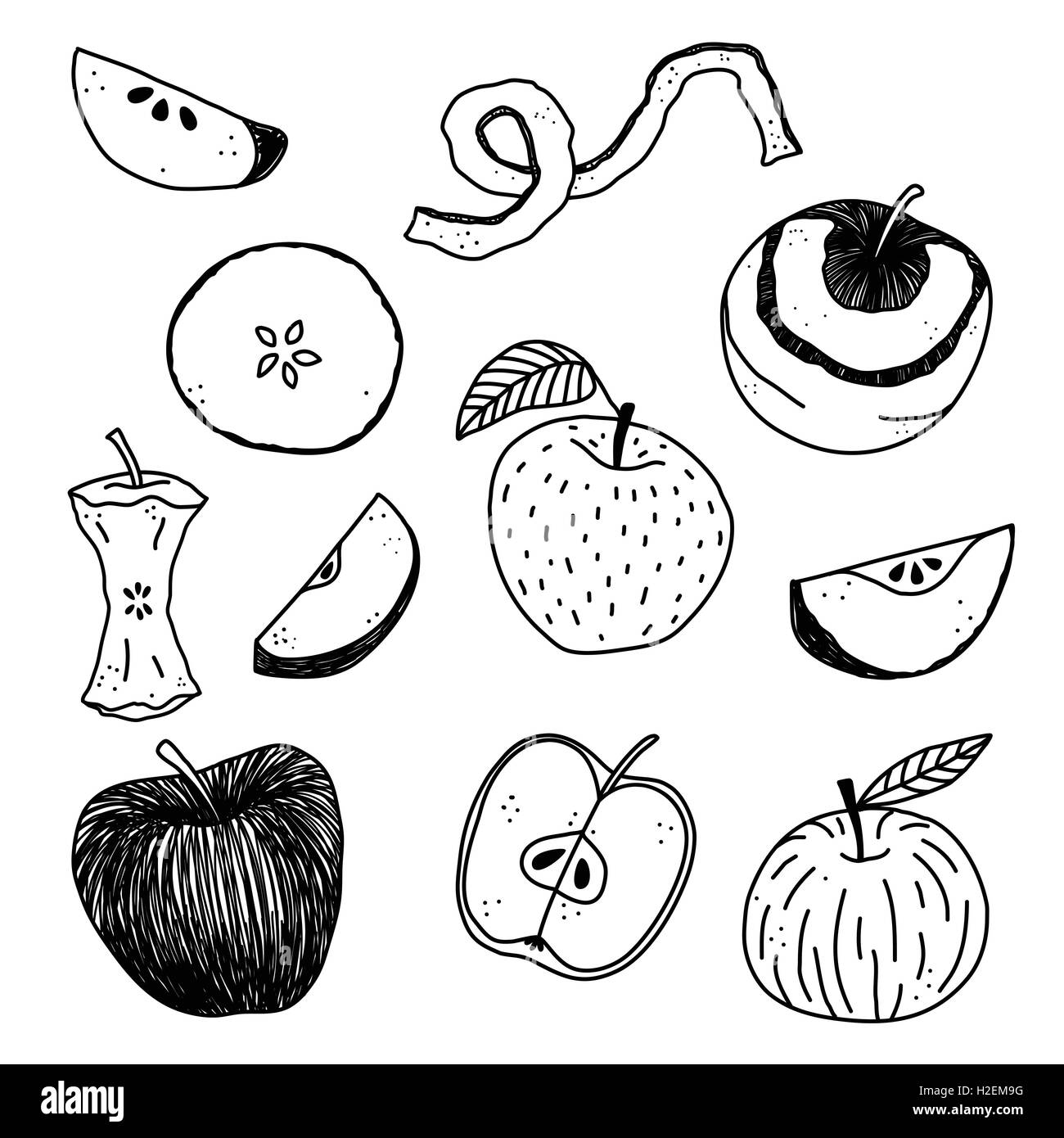 Apples Stock Vector Images - Alamy