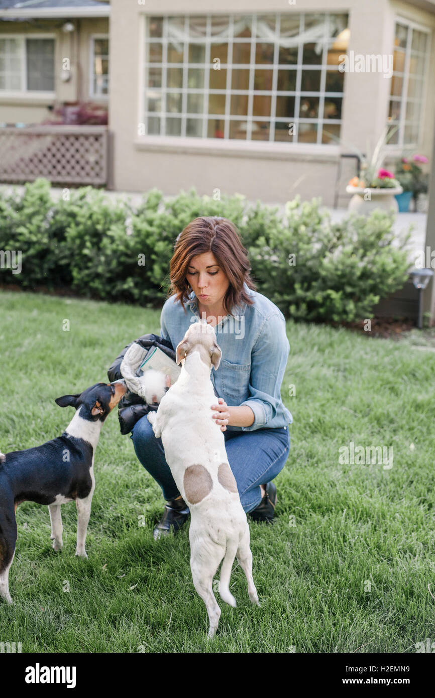 Woman playing two dogs hi-res stock photography and images - Alamy