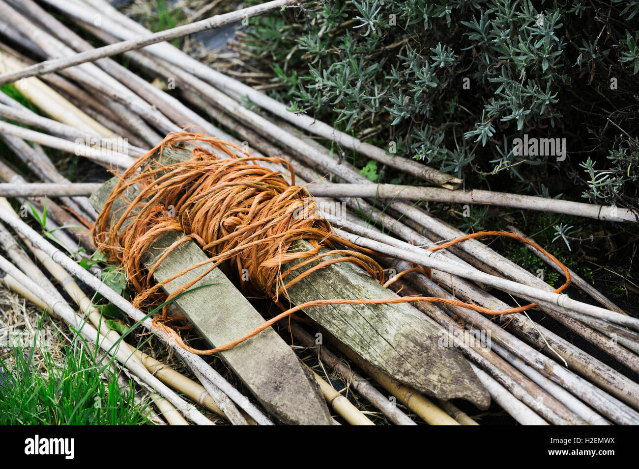 A bundle of twigs and garden twine on a garden path Stock Photo - Alamy