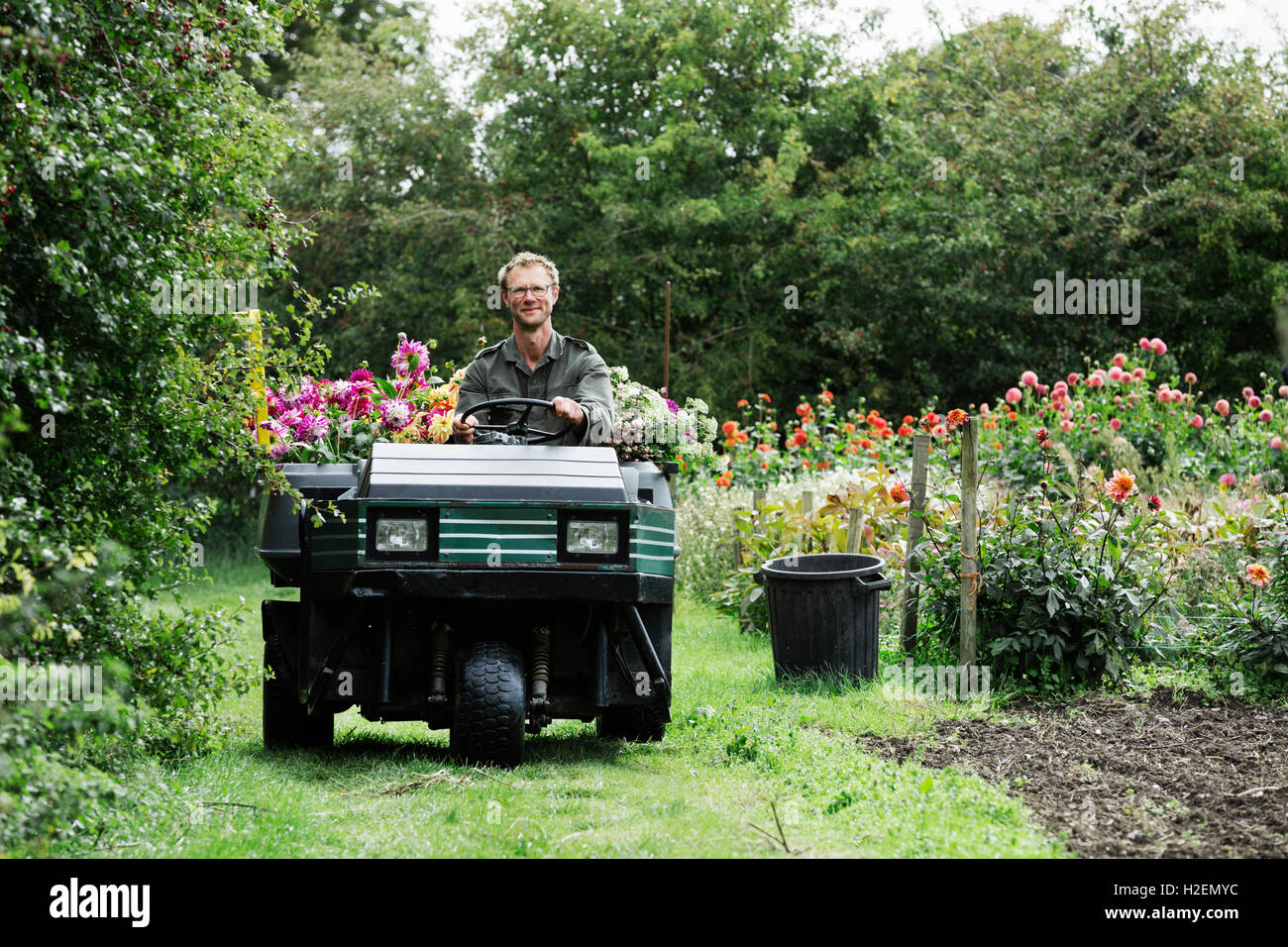 A man driving a small garden vehicle along the path between flowerbeds ...