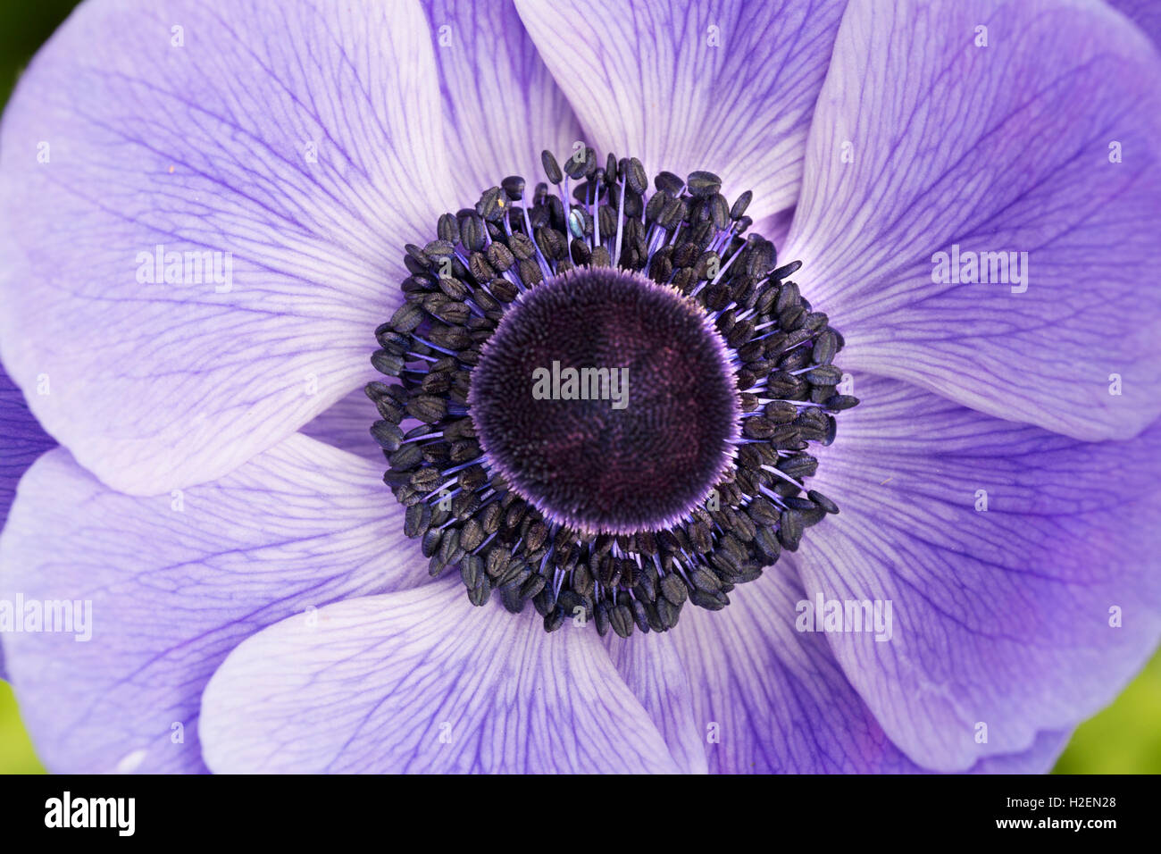 Centre of a hi-res stock photography and images - Alamy