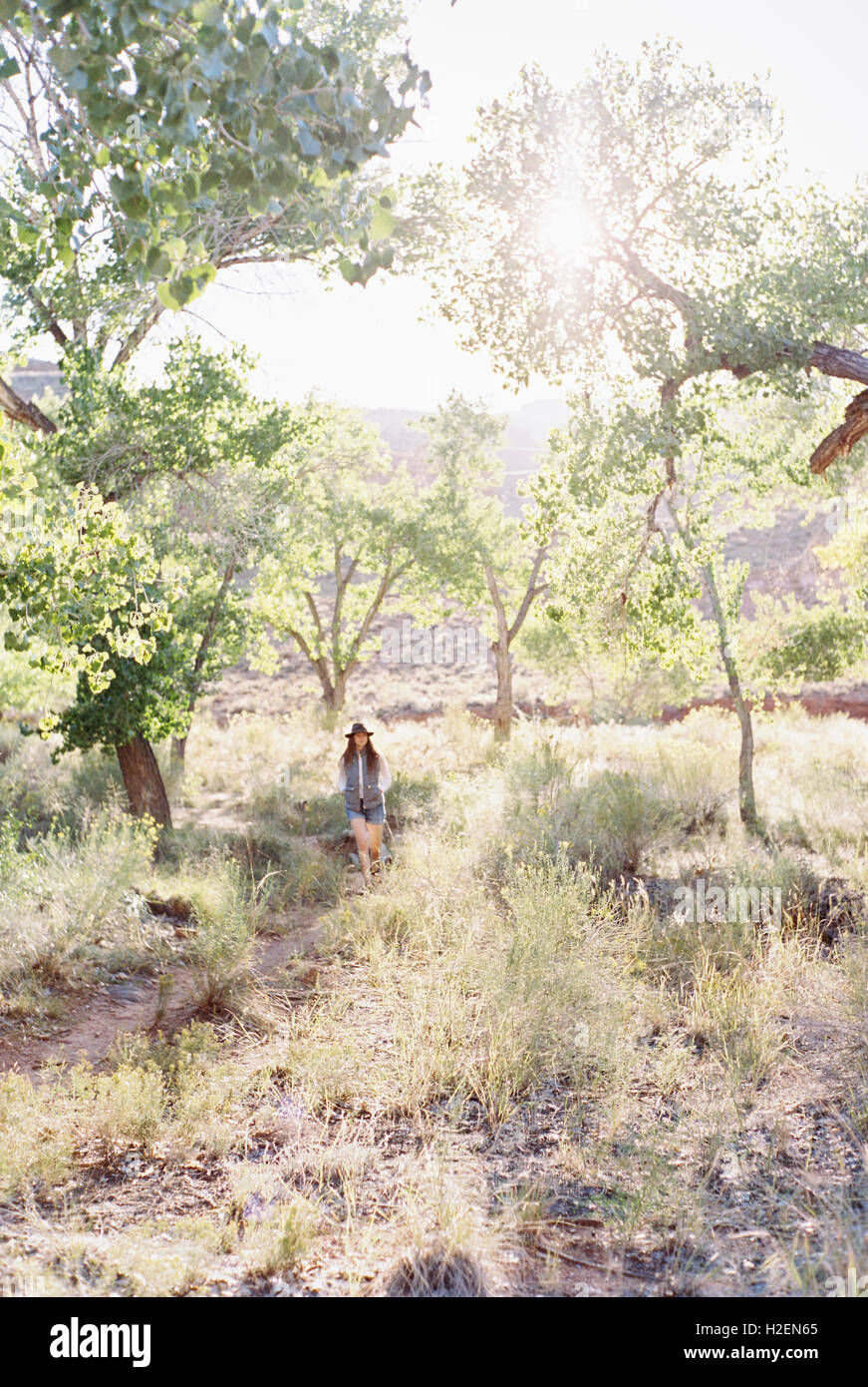 A woman walking through trees on a path in sunshine Stock Photo - Alamy