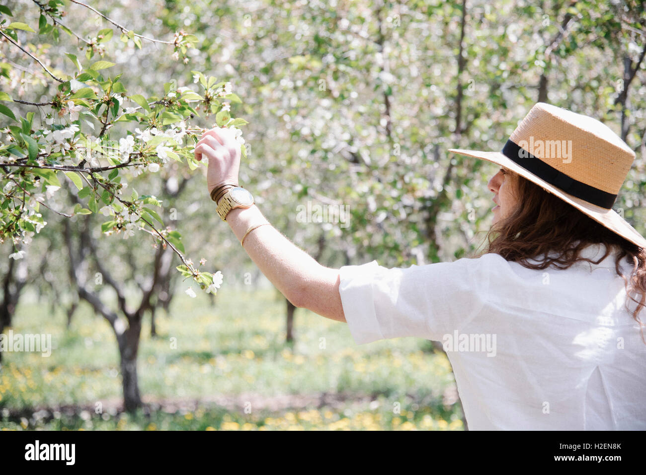 Woman up in a tree hi-res stock photography and images - Alamy