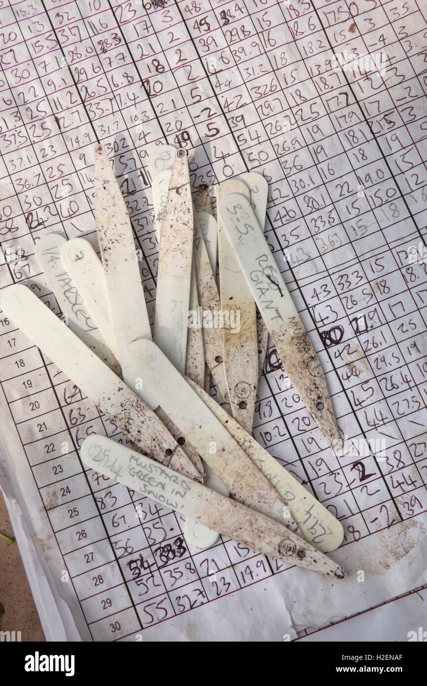 A handwritten chart on a clipboard and plant labels Stock Photo - Alamy