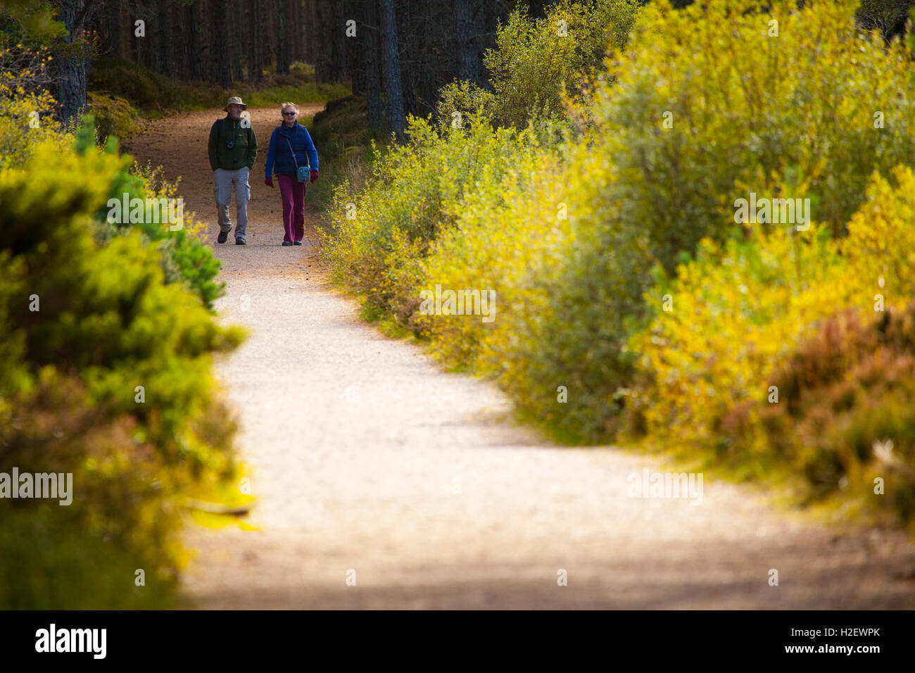 Person walking down path scotland hi-res stock photography and images ...