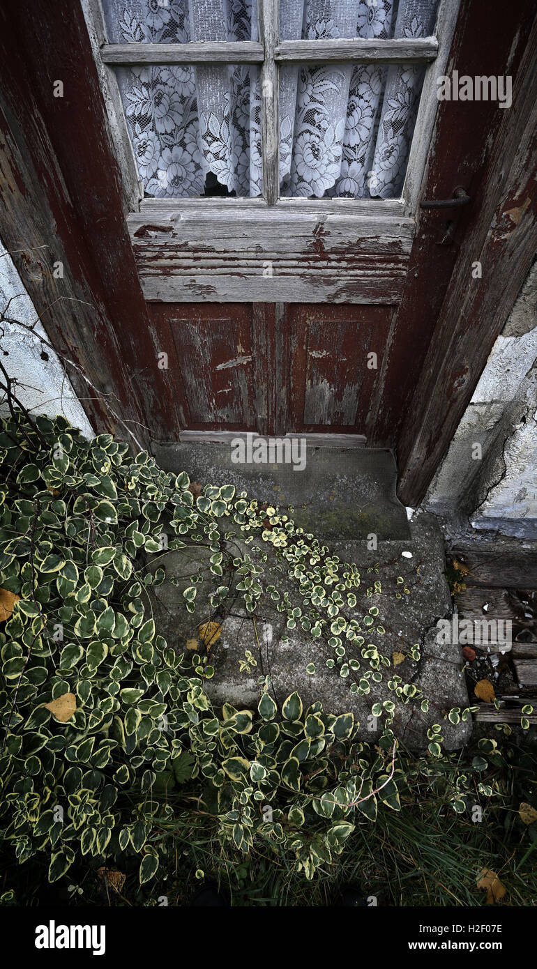 Aitrang, Germany. 27th Oct, 2016. Plants grow outside the door of an ...