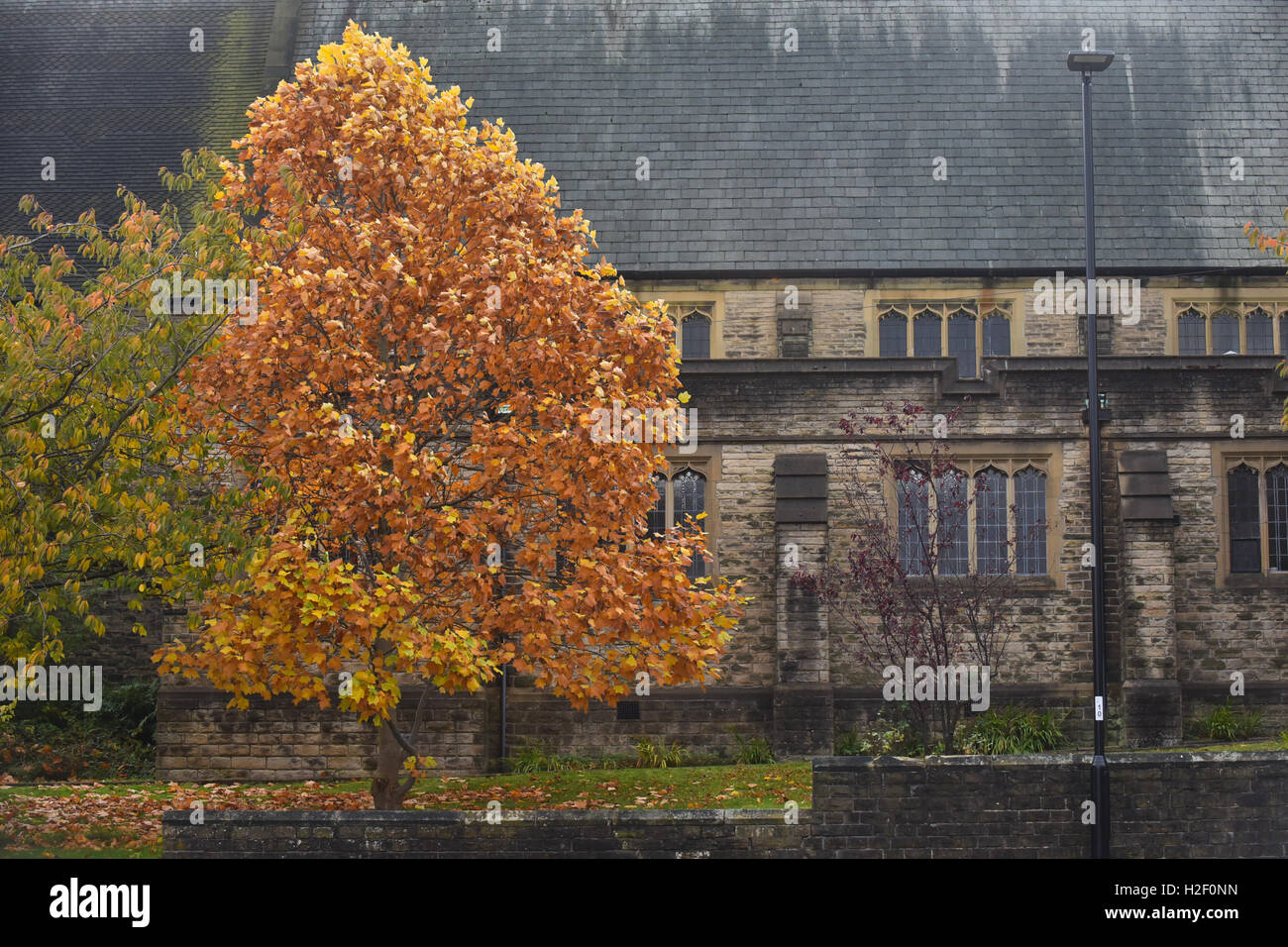 Meersbrook Park, Sheffield, South Yorkshire, UK. 28th October 2016. UK ...