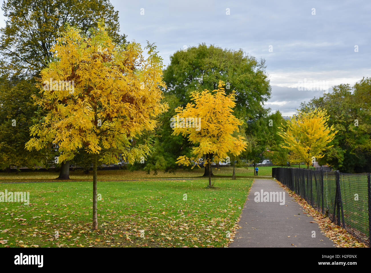 Meersbrook Park, Sheffield, South Yorkshire, UK. 28th October 2016. UK ...