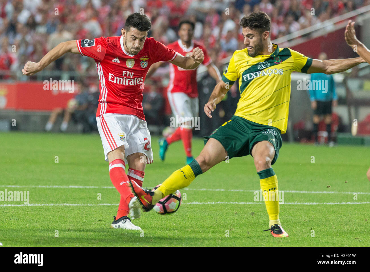Paulo Sousa Portugal High Resolution Stock Photography and Images - Alamy