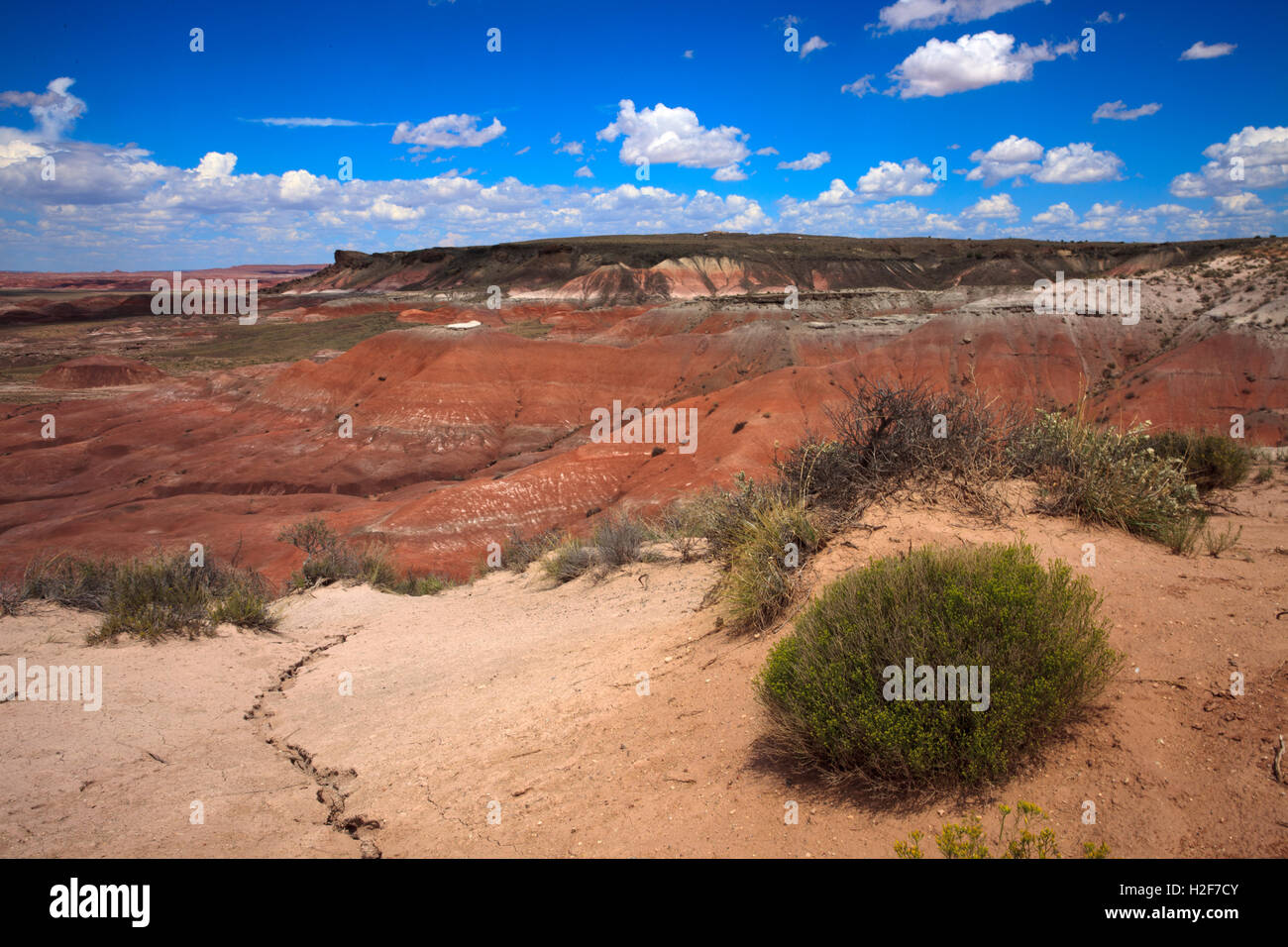 Painted Desert National Park, Arizona, USA Stock Photo - Alamy