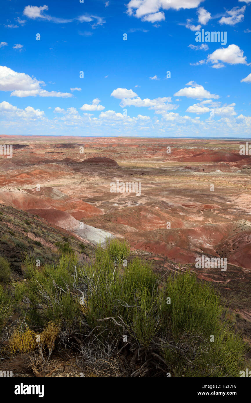 Painted Desert National Park, Arizona, USA Stock Photo - Alamy