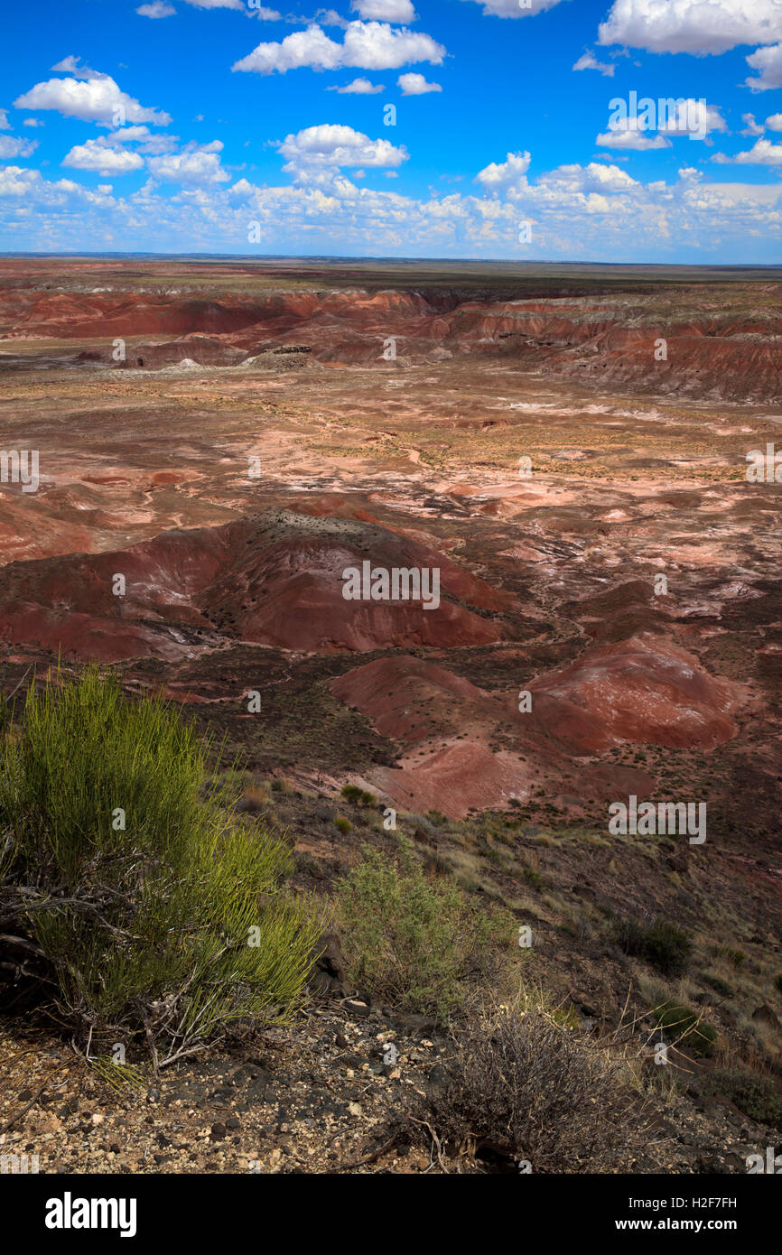 Painted Desert National Park, Arizona, USA Stock Photo - Alamy