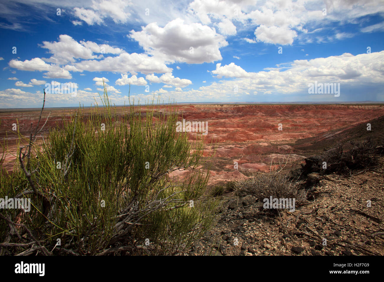 Painted Desert National Park, Arizona, USA Stock Photo - Alamy