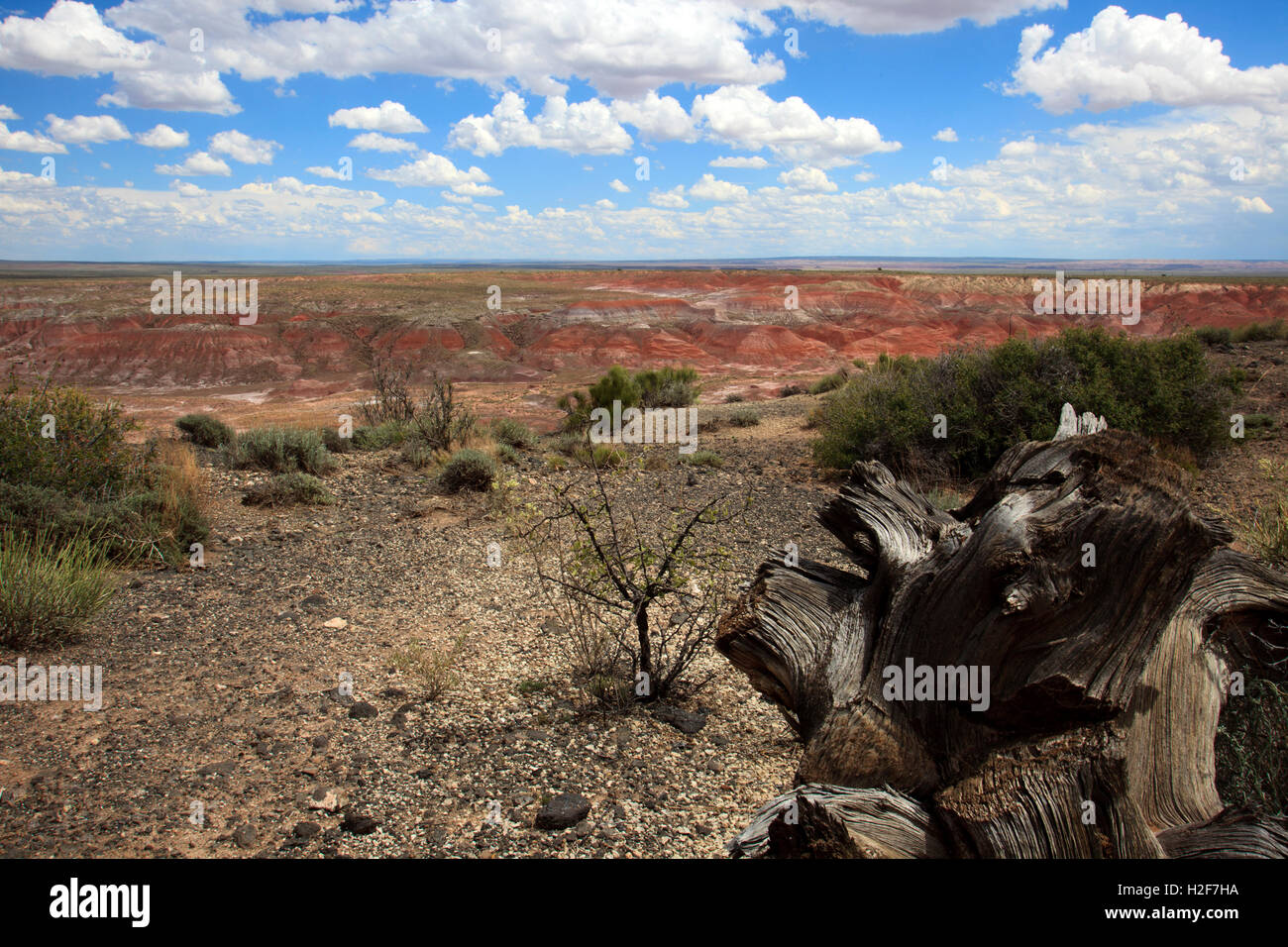 Painted Desert National Park, Arizona, USA Stock Photo - Alamy