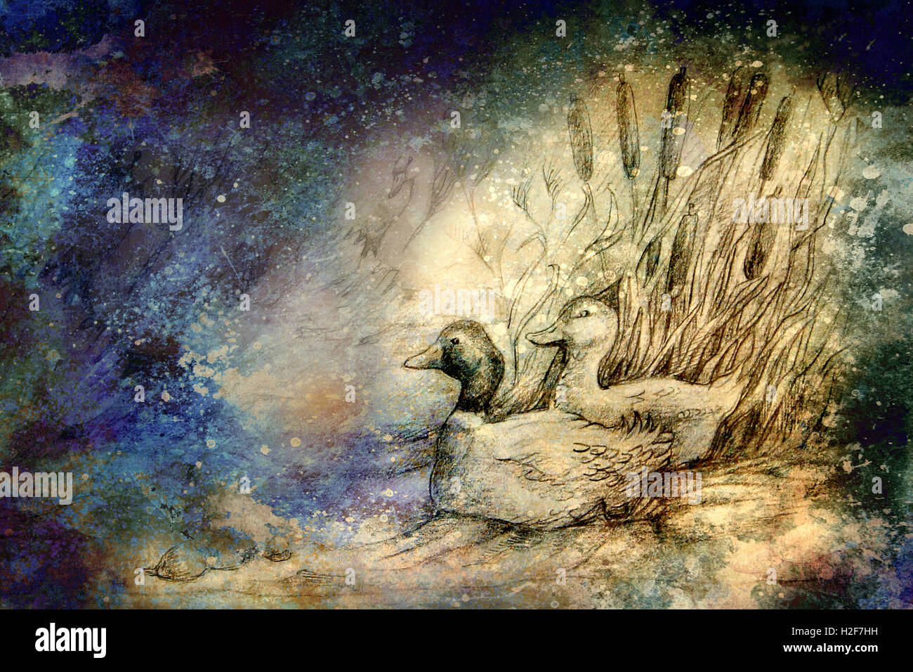 Vintage duck painting hi-res stock photography and images - Alamy