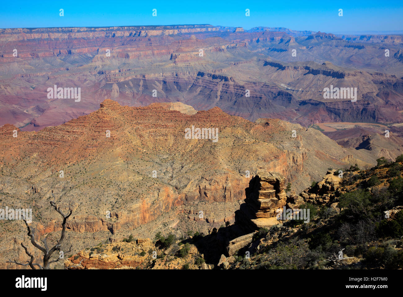 South Rim Grand Canyon, Arizona, USA Stock Photo - Alamy