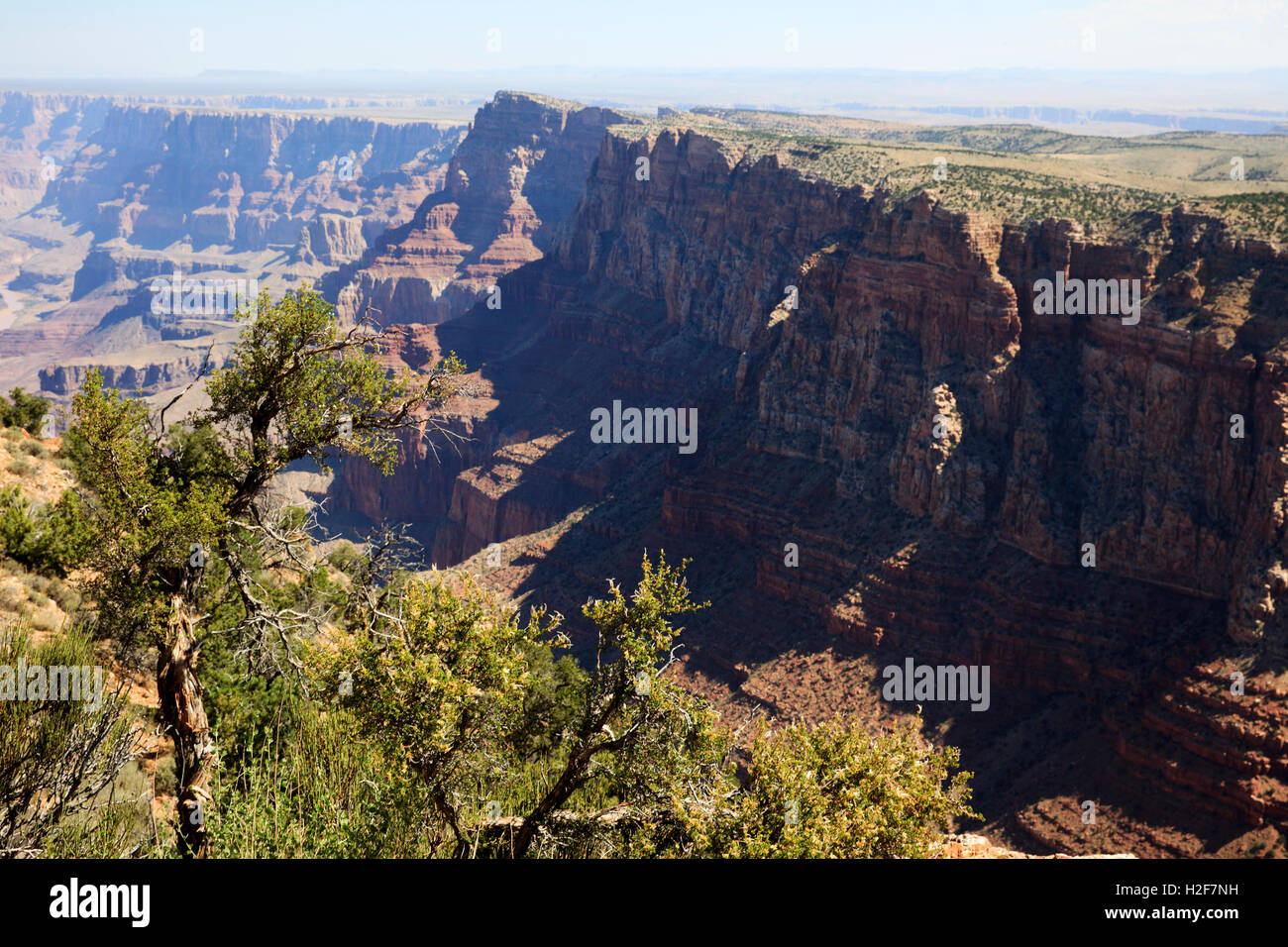 South Rim Grand Canyon, Arizona, USA Stock Photo - Alamy