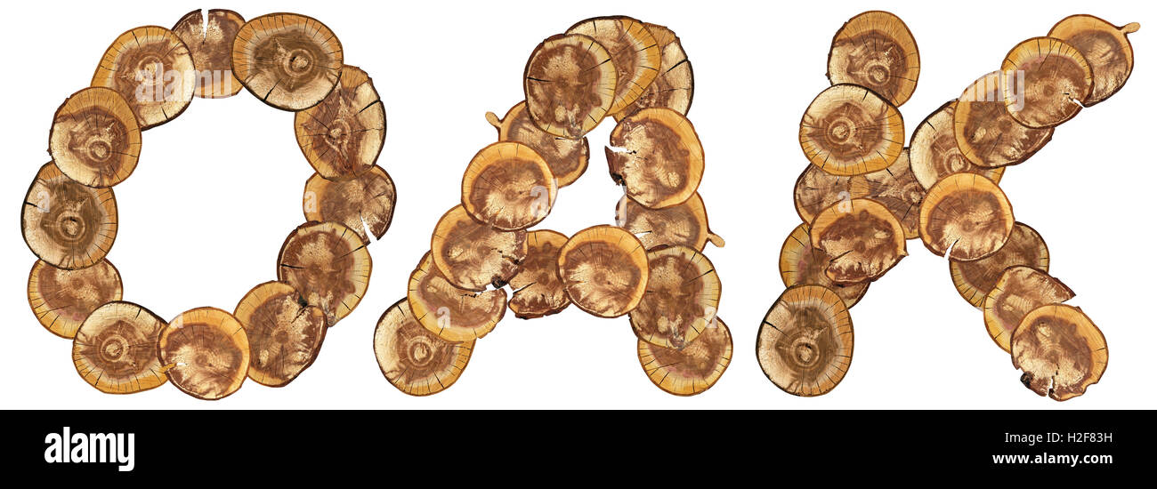 Oak word made from round cross wooden cuts for a trunk of old tree ...