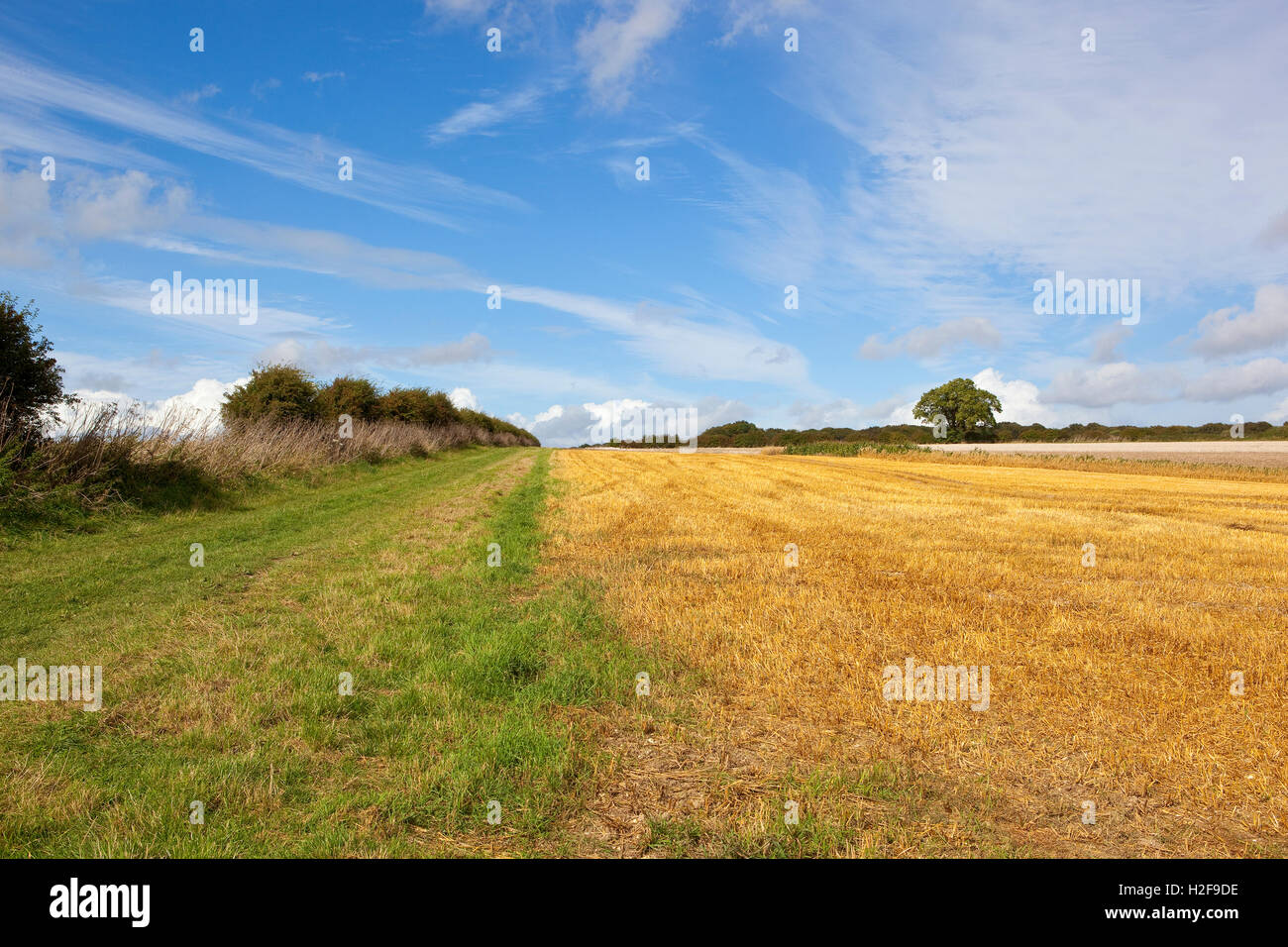 A grassy farm track and footpath through the scenic agricultural ...