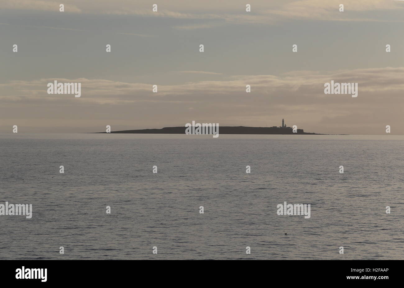 Pladda island hi-res stock photography and images - Alamy