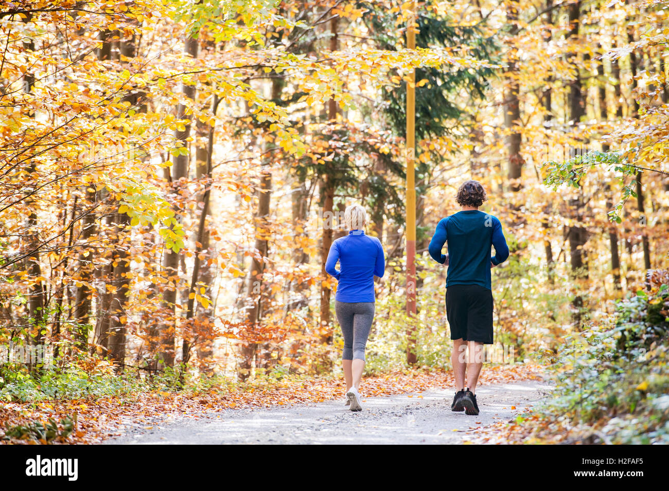 Beautiful couple running outside in sunny autumn forest Stock Photo - Alamy