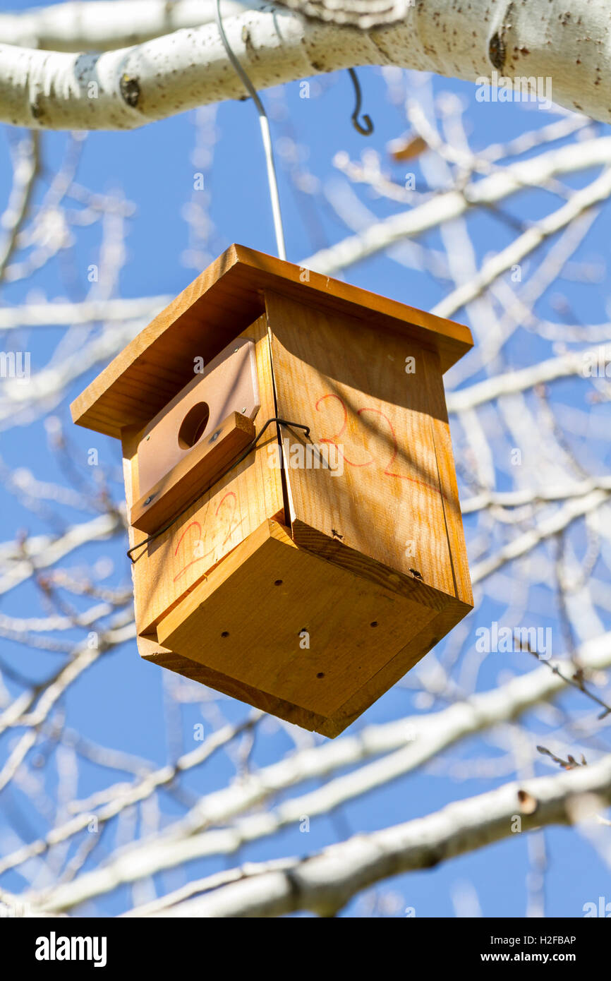 Bird-box.Bird house on the tree in the summer woods Stock Photo - Alamy