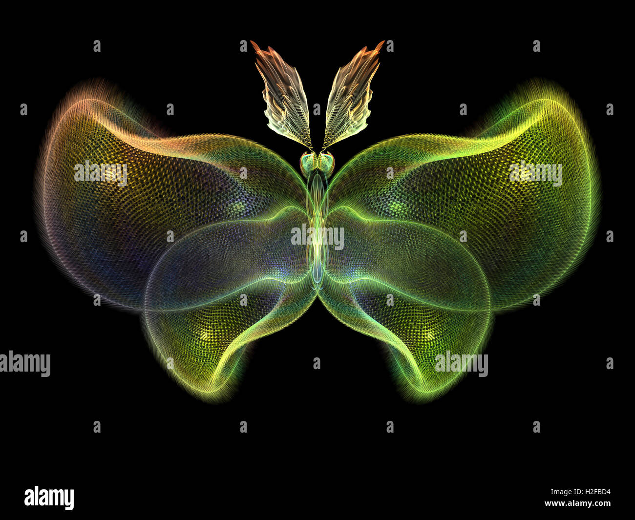 Glow of Butterfly Stock Photo - Alamy