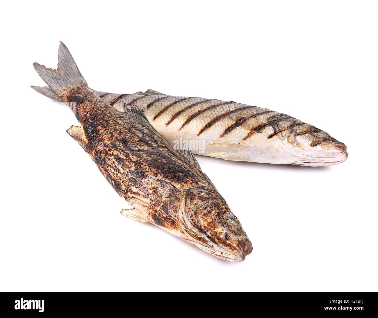 Two grilled seabass fish Stock Photo - Alamy
