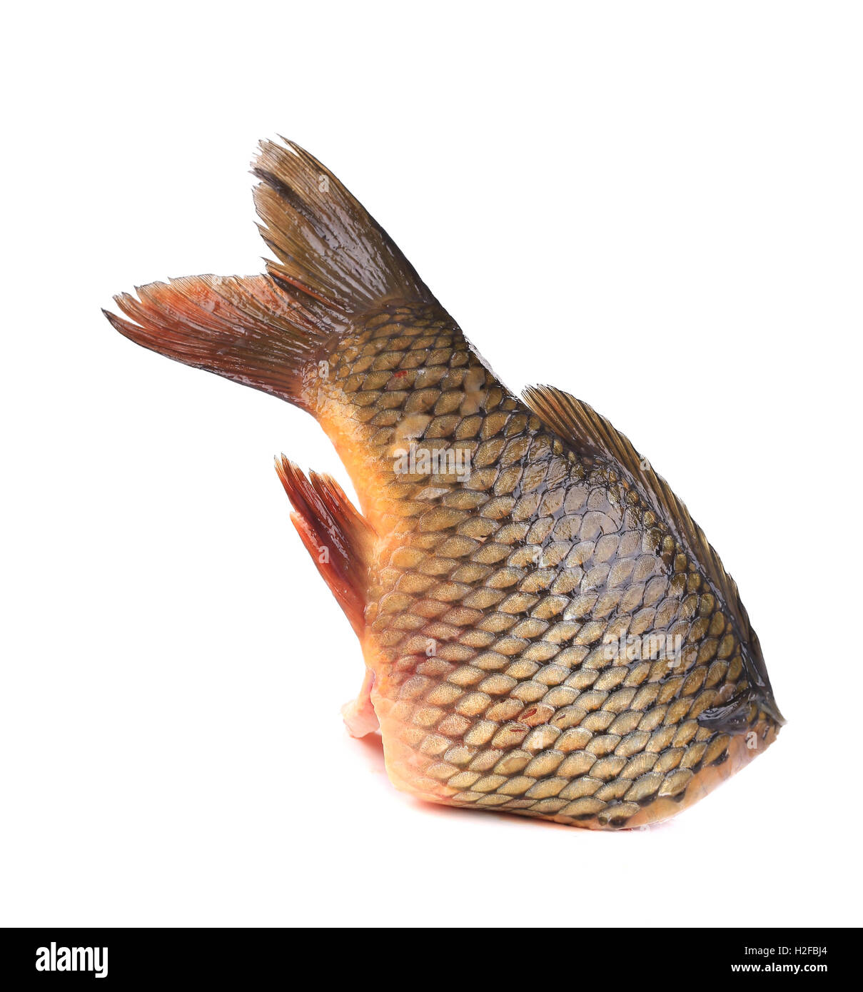 Carp silhouette Cut Out Stock Images & Pictures - Alamy
