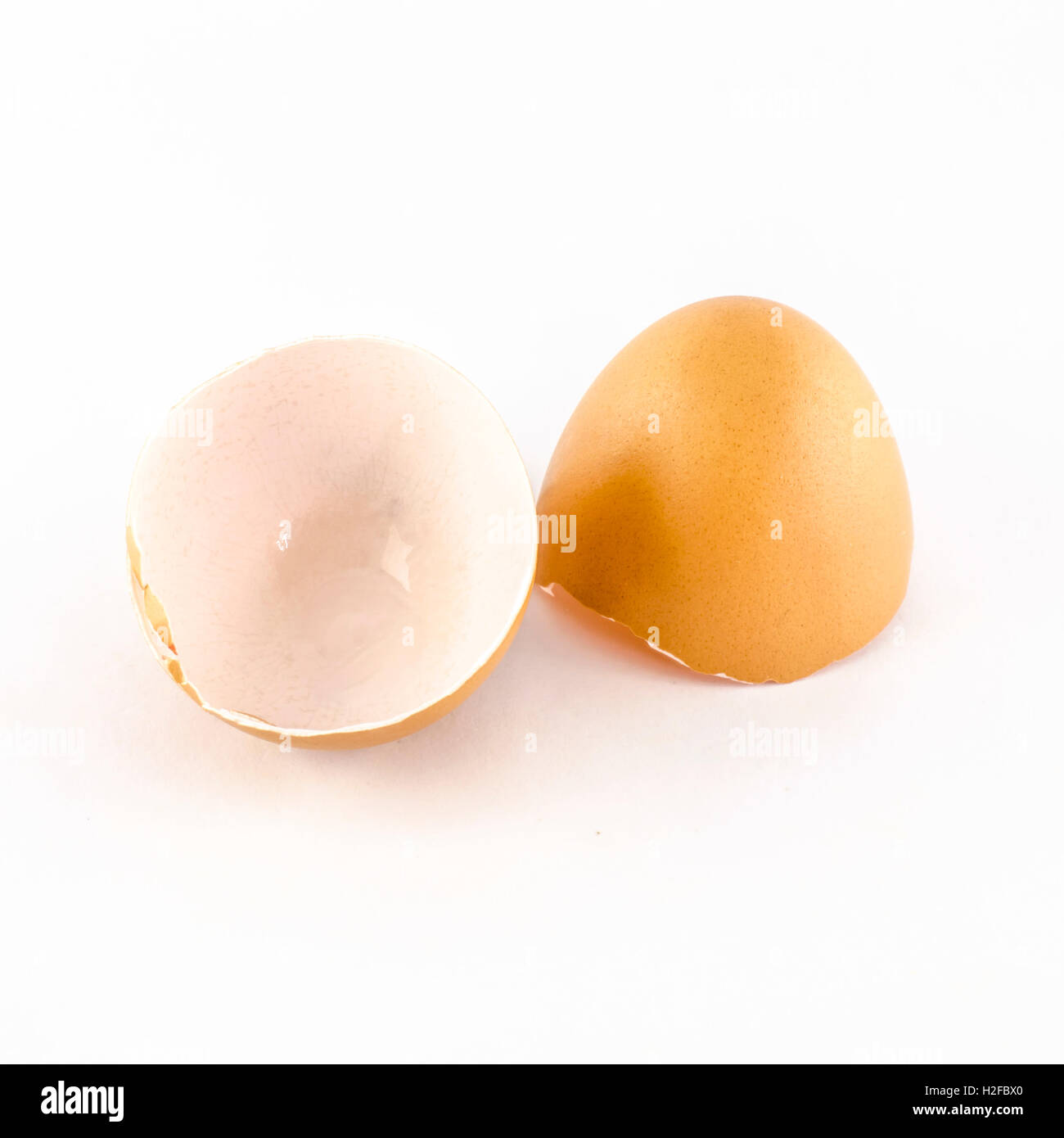 egg shell isolated on white Stock Photo - Alamy