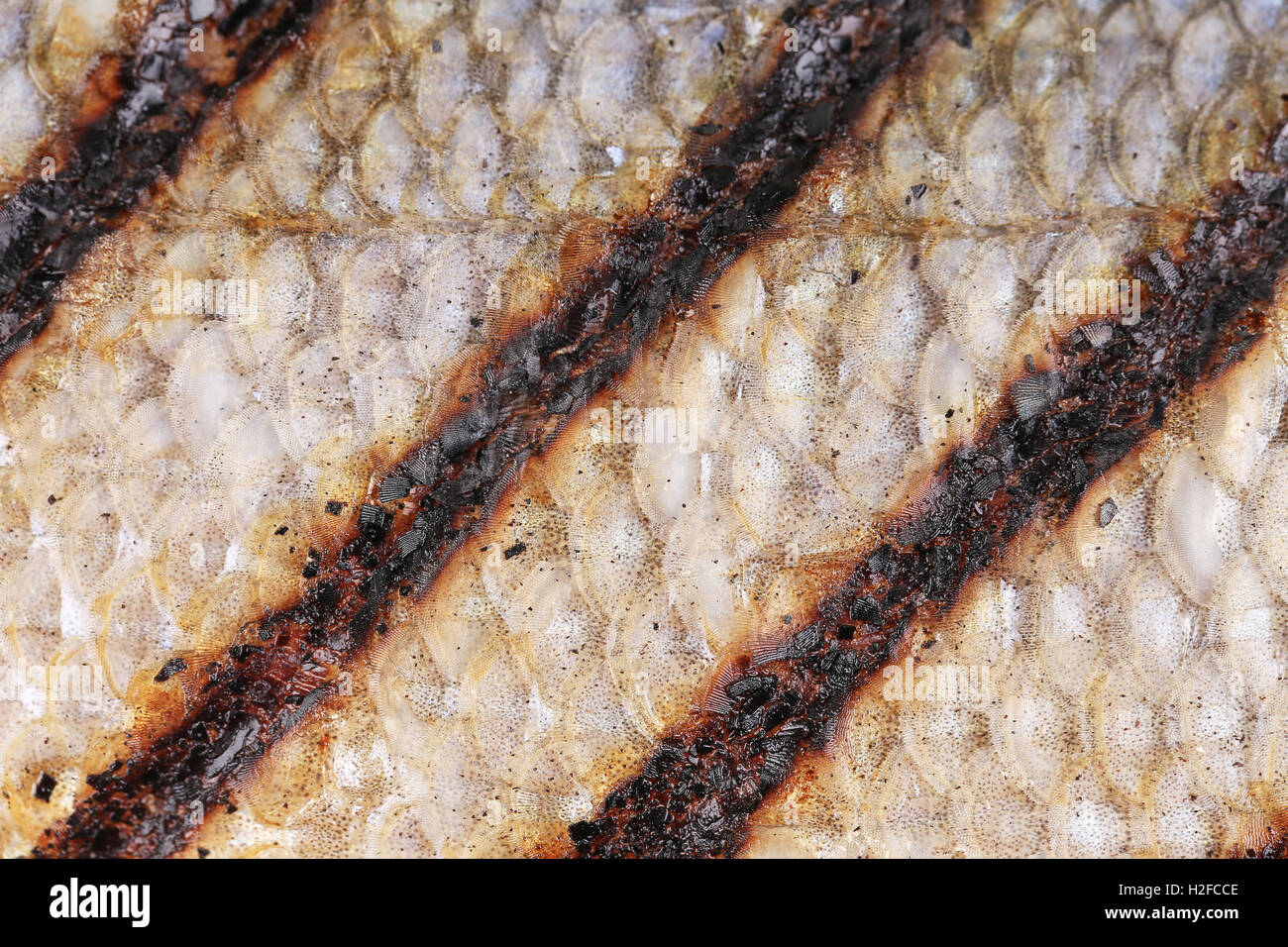 Goldfish skin texture hi-res stock photography and images - Alamy