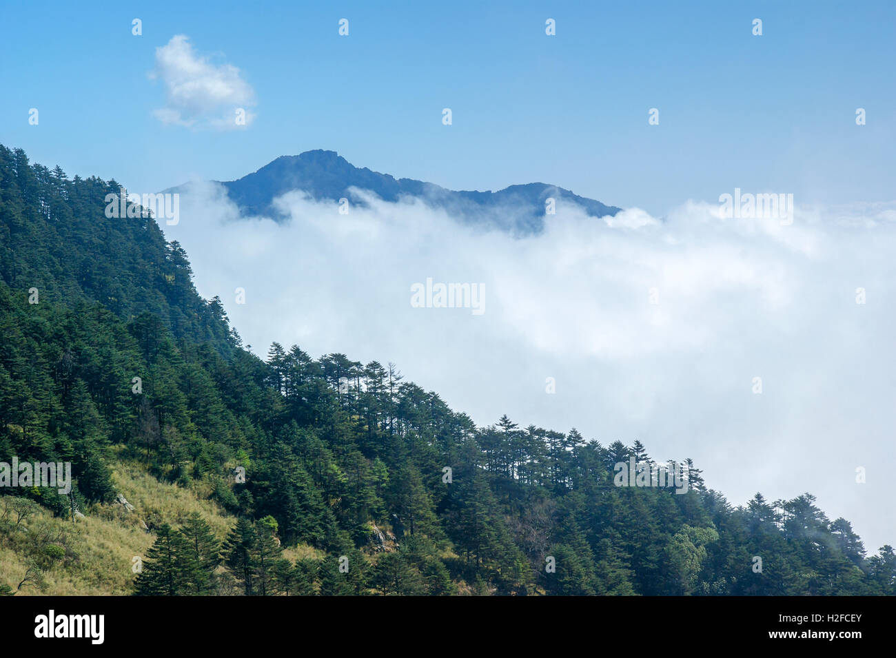 Mountain peaks. Tree. Clouds Stock Photo - Alamy