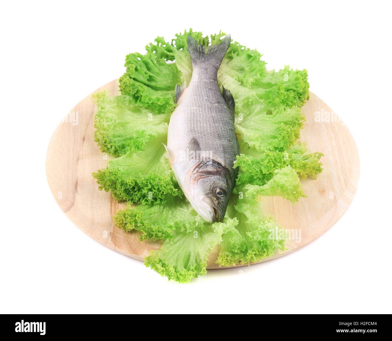 Fresh seabass fish on lettuce Stock Photo - Alamy