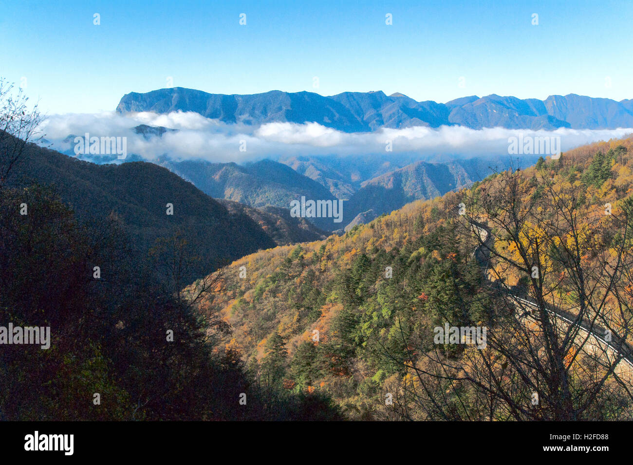 Mountain peaks. Tree. Clouds Stock Photo - Alamy