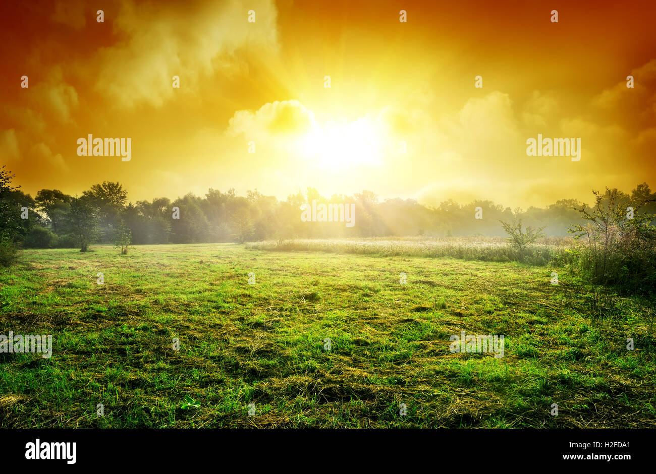 Meadow at sunset Stock Photo - Alamy