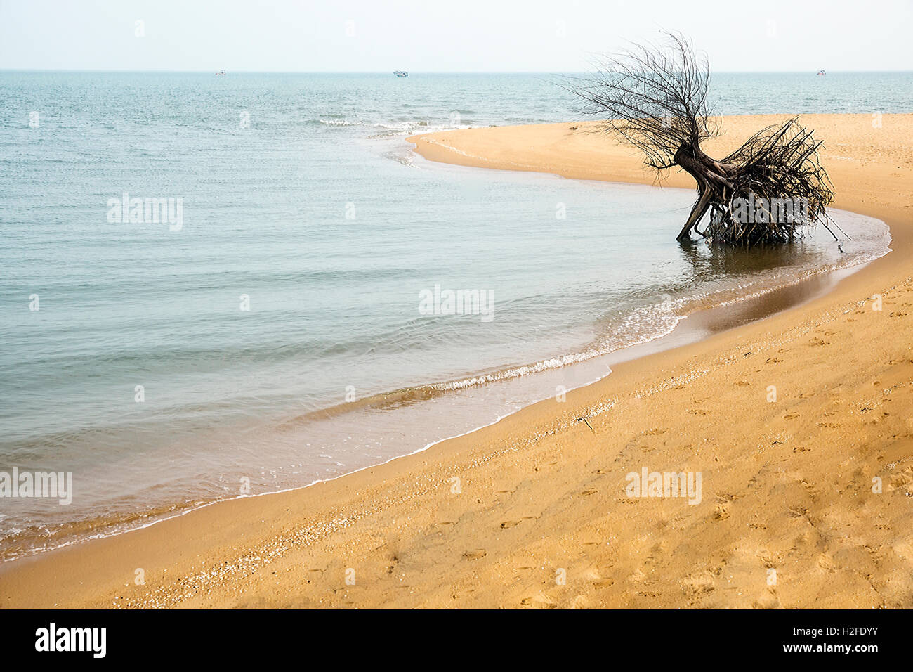 China's Hainan Island tropical coastal scenery Stock Photo - Alamy
