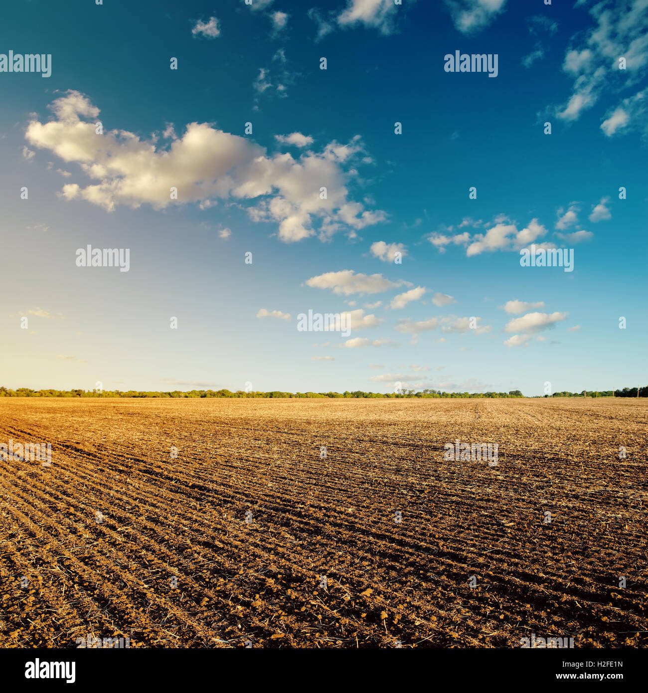 black field after harvesting and blue cloudy sky Stock Photo - Alamy