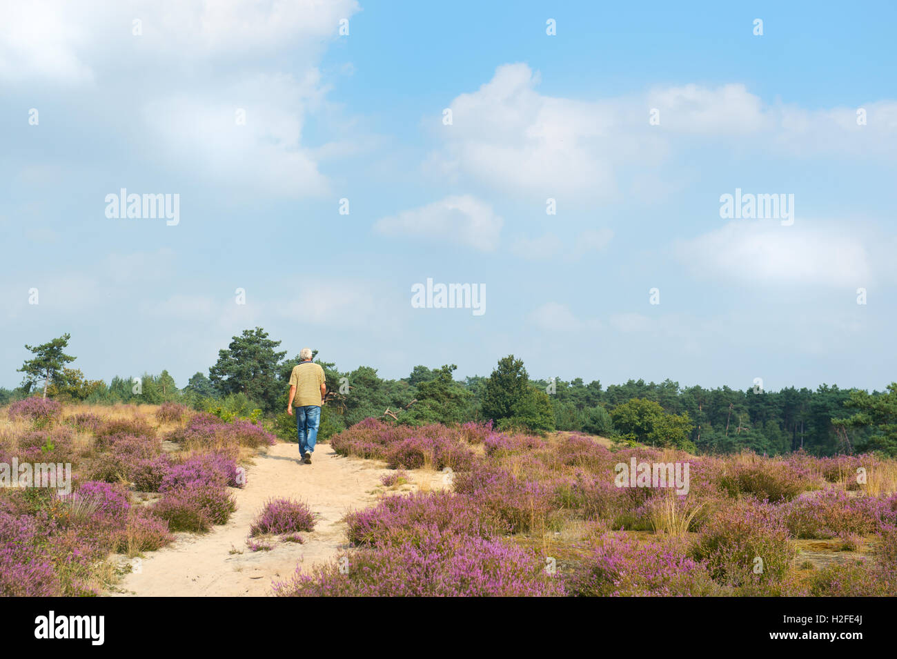 Senior man walking fields hi-res stock photography and images - Alamy