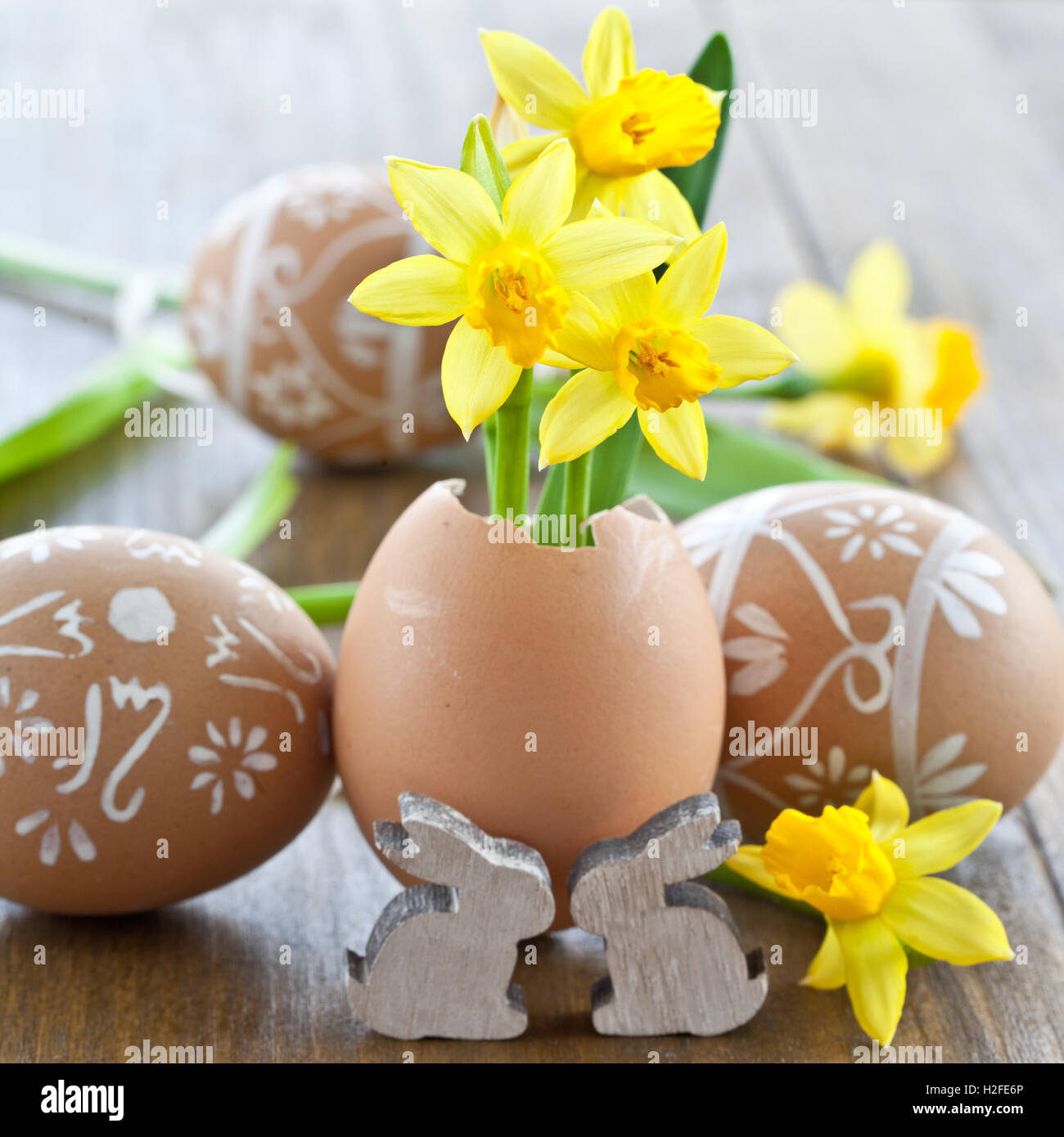 Yellow narcissus in egg shell Stock Photo - Alamy