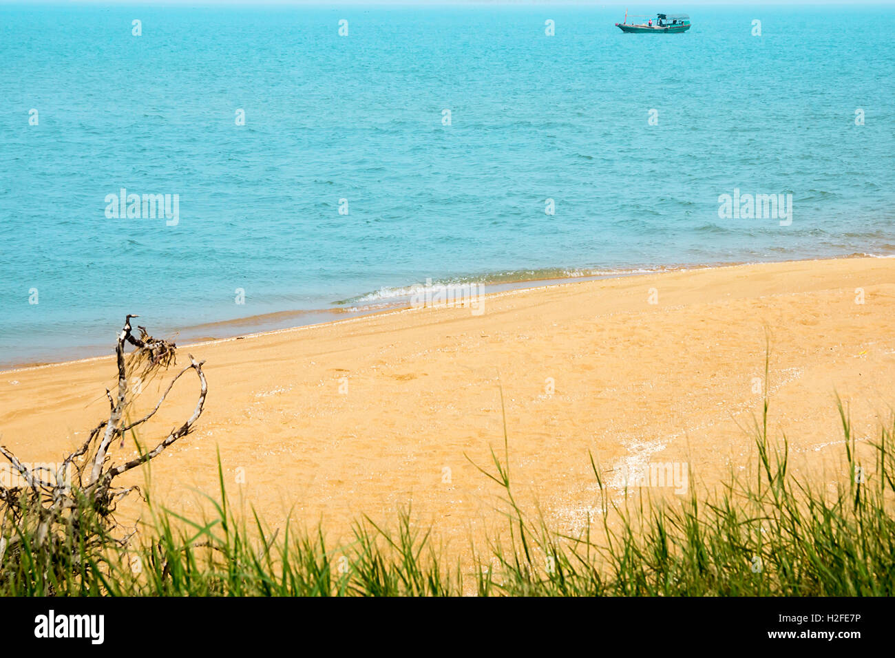 China's Hainan Island tropical coastal scenery Stock Photo - Alamy