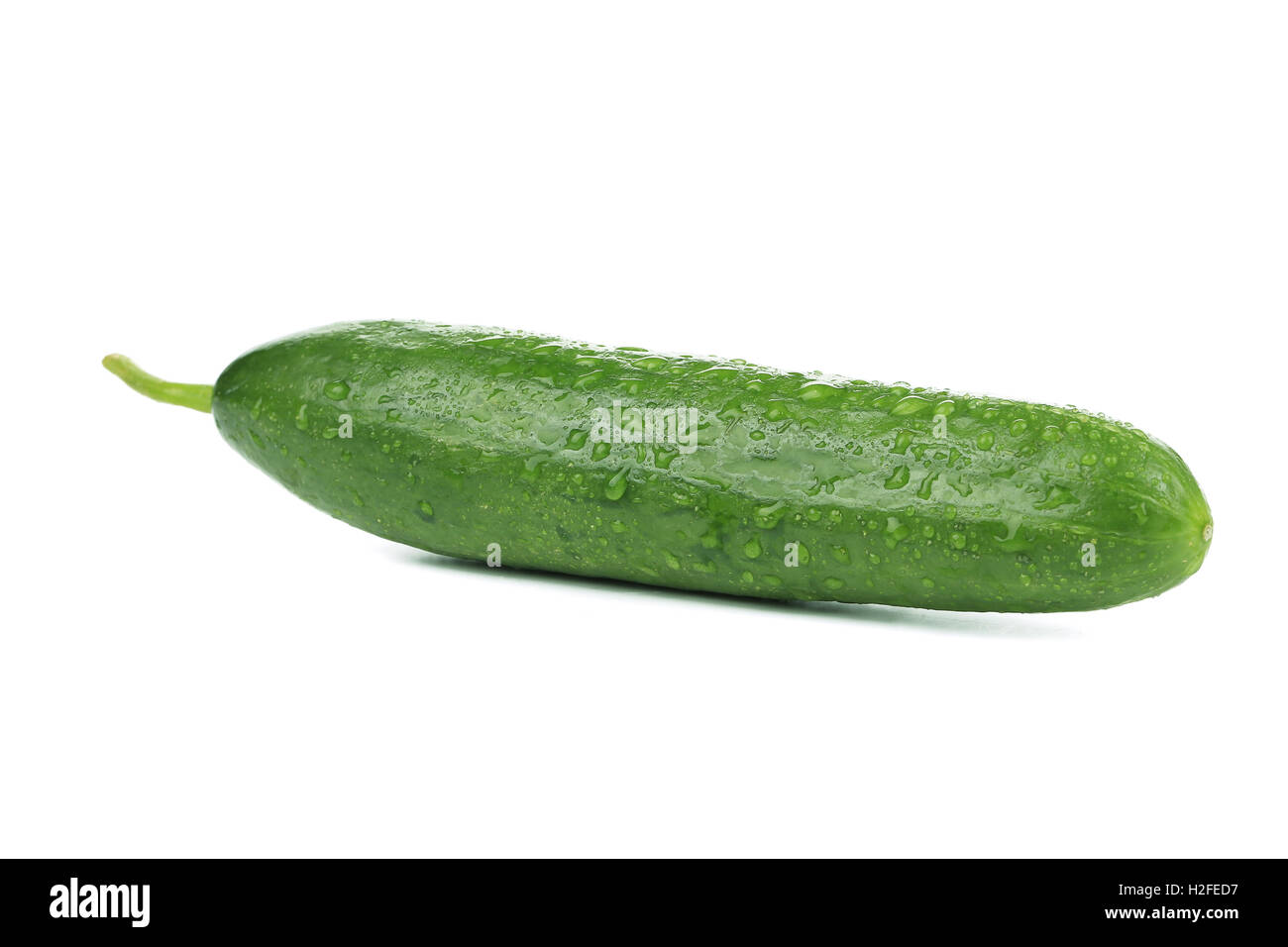 Single green cucumber Stock Photo - Alamy