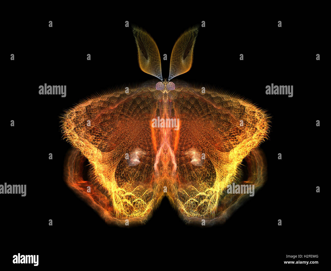 Shining butterfly hi-res stock photography and images - Alamy