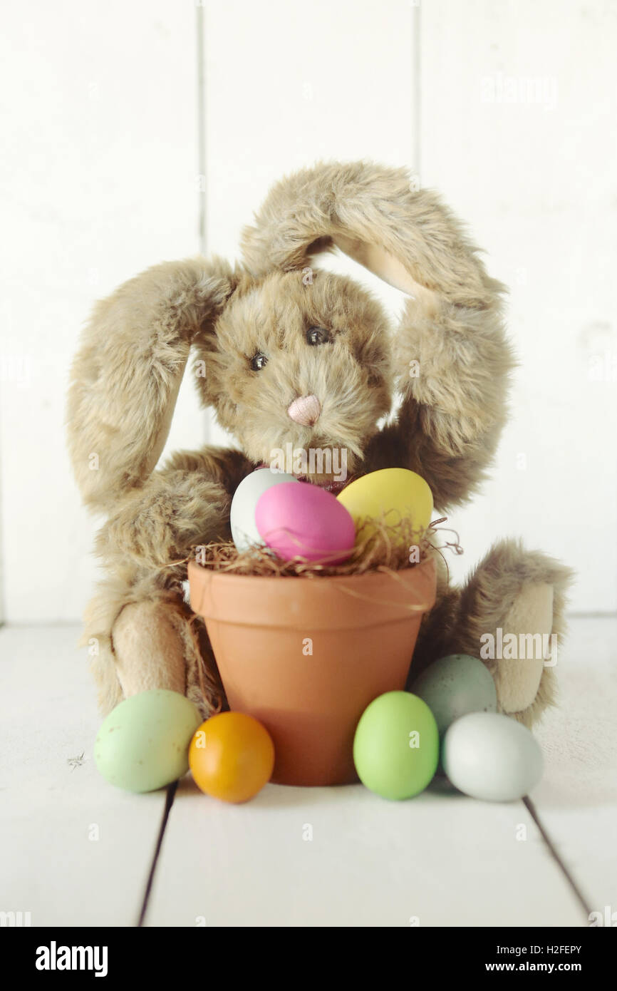 Bunny themed hi-res stock photography and images - Alamy