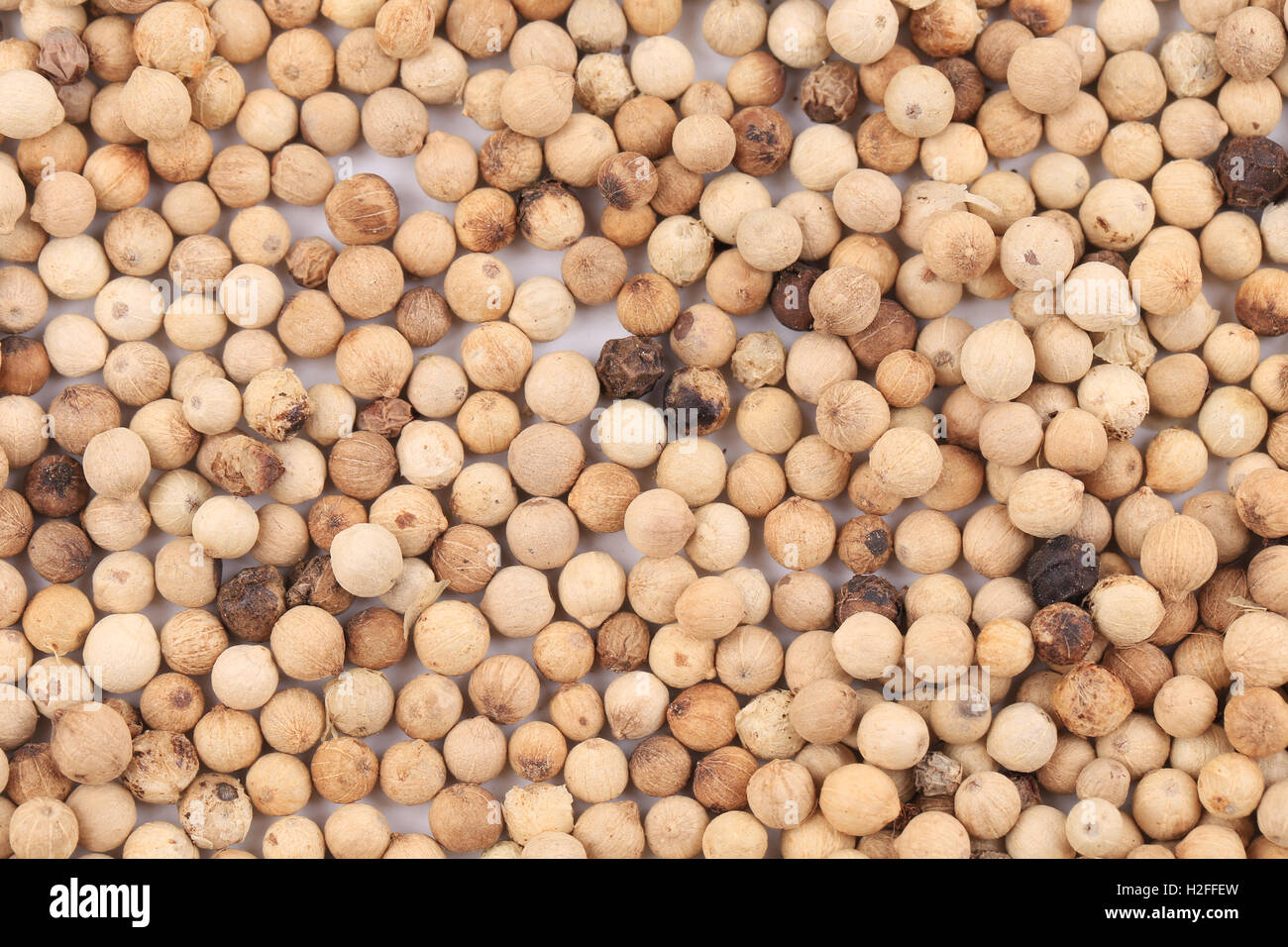 close up of white pepper Stock Photo - Alamy