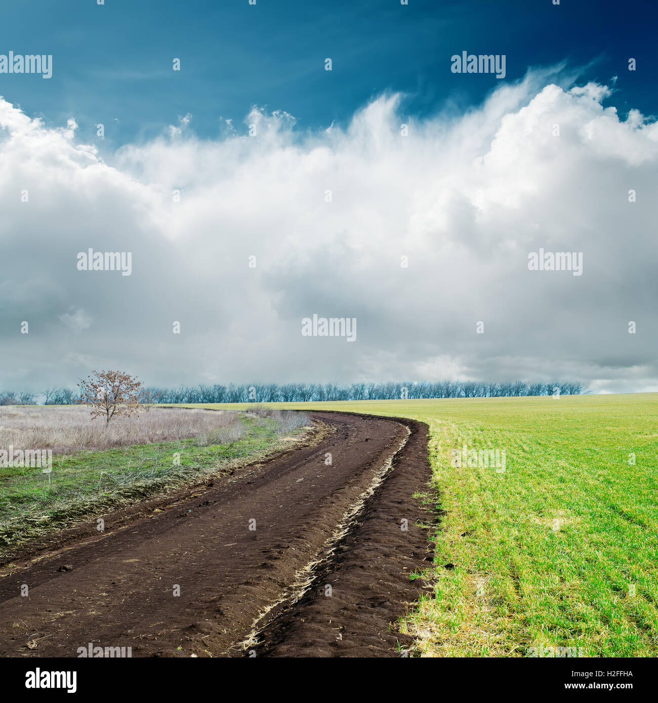spring dirty road in green fields and clouds over it Stock Photo - Alamy