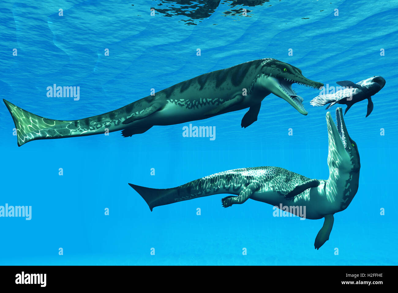 Metriorhynchus Aquatic Reptiles Stock Photo - Alamy
