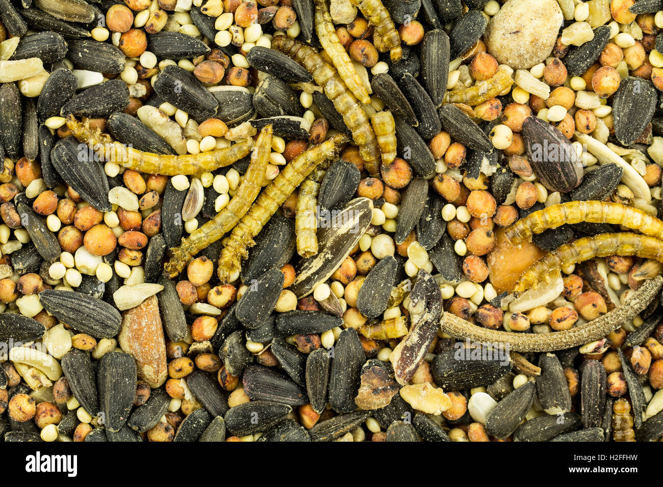 Close up of birdseed background - sunflower seeds, millet, meal worms ...
