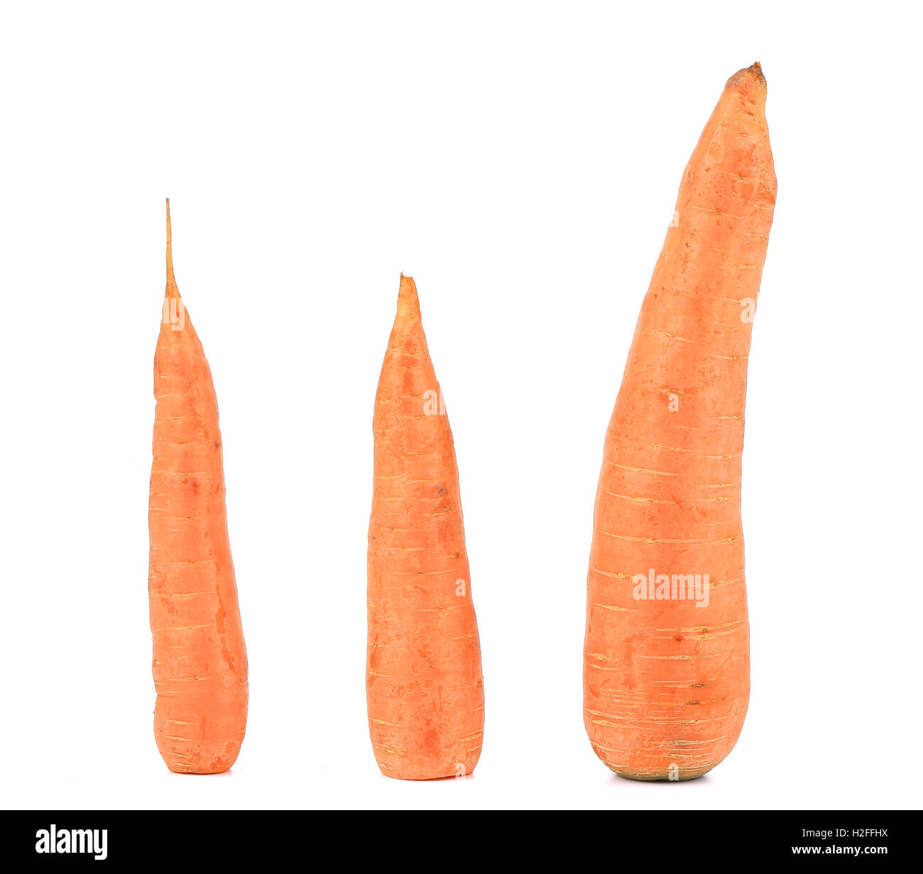 Three fresh carrots Stock Photo - Alamy